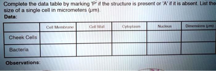SOLVED: Complete the data table by marking 'P' if the structure is ...