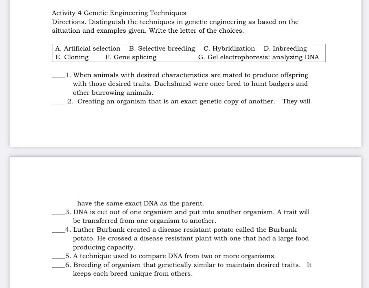 Solved Activity 4 Genetic Engineering Techniques Directions
