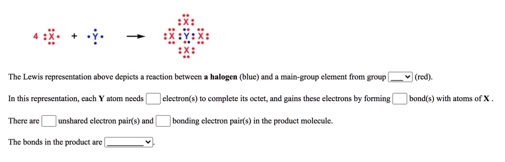 the lewis representation above depicts a reaction between halogen blue ...