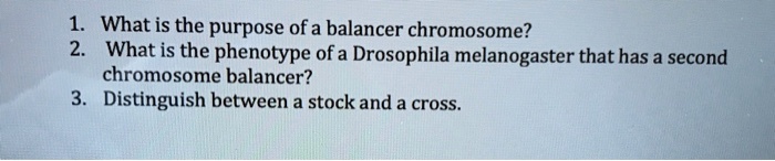 what is the purpose ofa balancer chromosome what is the phenotype ofa ...