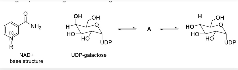 SOLVED: The reaction below is performed by an enzyme that uses NAD+ ...