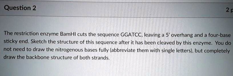 Solved The Restriction Enzyme Bamhi Cuts The Sequence Ggatcc Leaving
