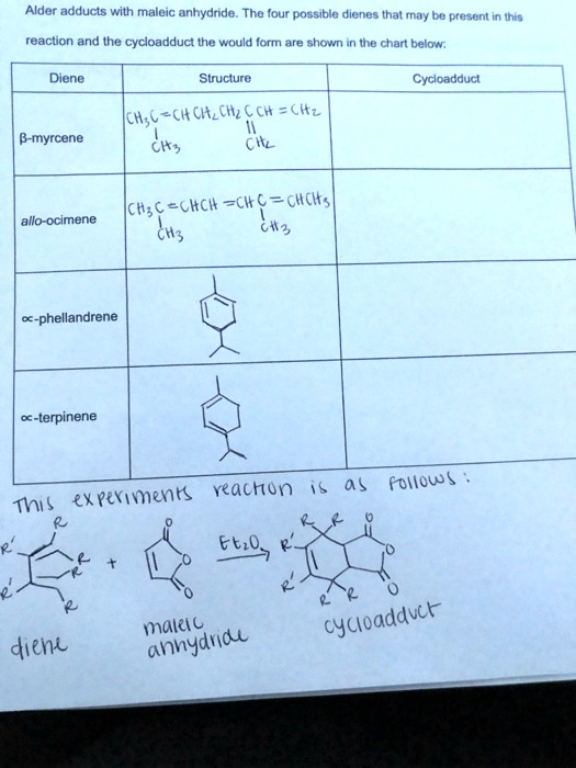 Alder adducts with maleic anhydride. The four possible dienes that may ...