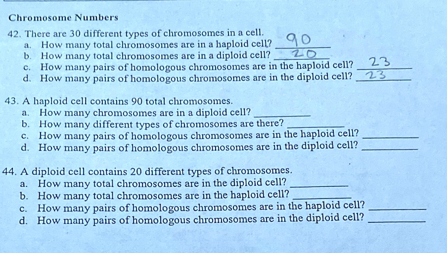 chromosome numbers 42 there are 30 different types of chromosomes in ...