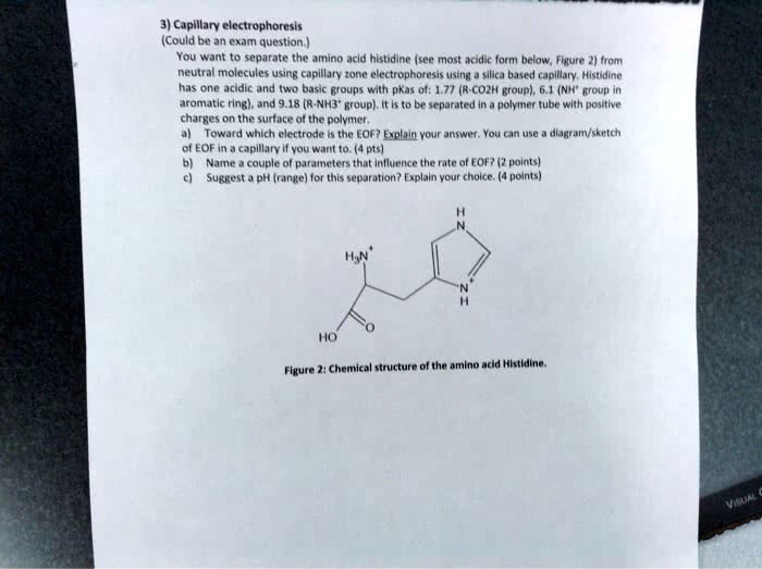 SOLVED: ' You want to separate the amino acid histidine (see most ...