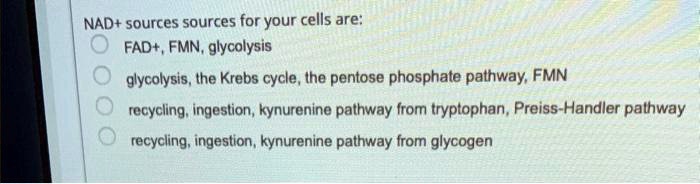 SOLVED: NAD+ sources for your cells are: FAD+, FMN, glycolysis, the ...