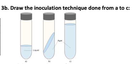 SOLVED: 3b Draw the inoculation technique done from a to c: