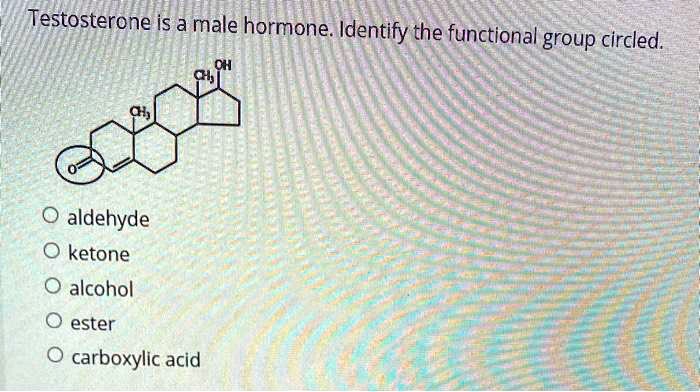 Testosterone is a male hormone Identify the functional group circled ...