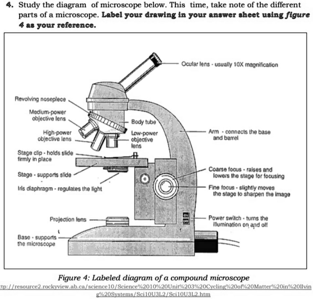 4. Study the diagram of microscope below. This time, take note of the ...