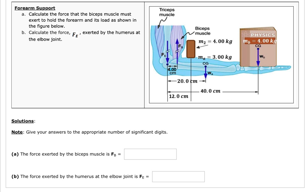 SOLVED: Forearm Support a. Calculate the force that the biceps muscle ...