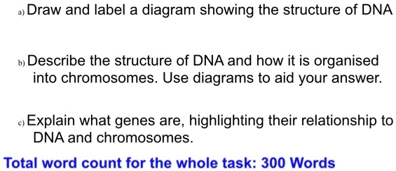 SOLVED: Draw and label a diagram showing the structure of DNA Describe ...