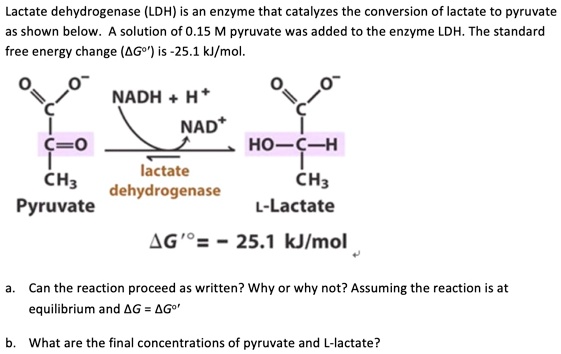 SOLVED: Lactate dehydrogenase (LDH) an enzyme that catalyzes the ...