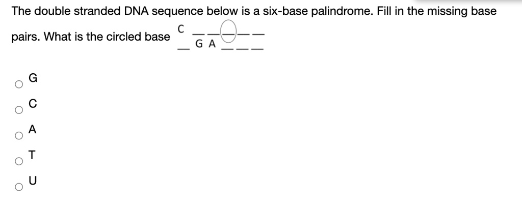 Solved The Double Stranded Dna Sequence Below Is A Six Base Palindrome