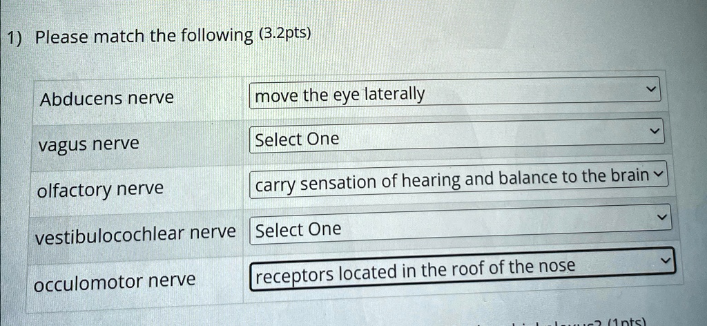 1) Please match the following (3.2pts) Abducens nerve move the eye ...