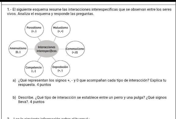 SOLVED: necesito las respuestas de esta guia 1 - El siguiente esquema ...