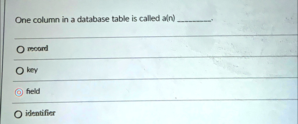 SOLVED: One column in a database table is called a(n) record key field identifier One column in ...