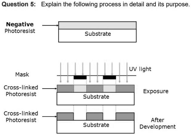 SOLVED: Question 5: Explain the following process in detail and its purpose Negative Photoresist ...