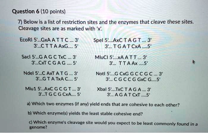 SOLVED: Question 6 (10 points) 7) Below is a list of restriction sites ...