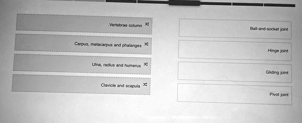 match the name of the joint to the type of bones forming that joint ... match the name of the joint to the type of bones forming that joint ...