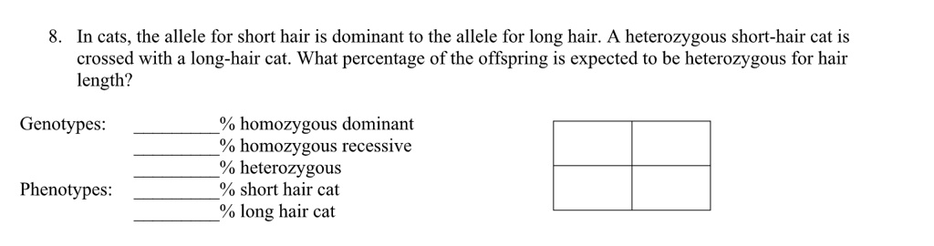 in cats the allele for short hair is dominant to the allele for long ...