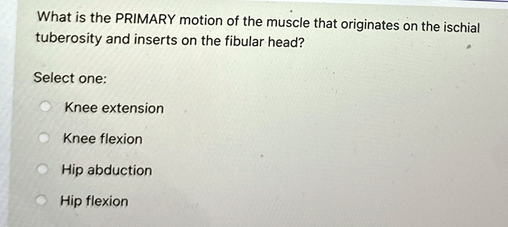 what is the primary motion of the muscle that originates on the ischial ...