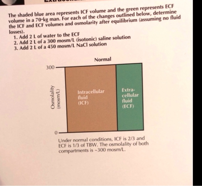 SOLVED: And the green represents ECF. The shaded blue area represents ...