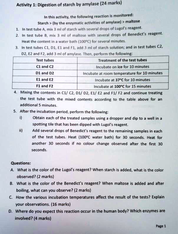 SOLVED: Activity 1: Digestion of starch by amylase (24 marks) In this ...