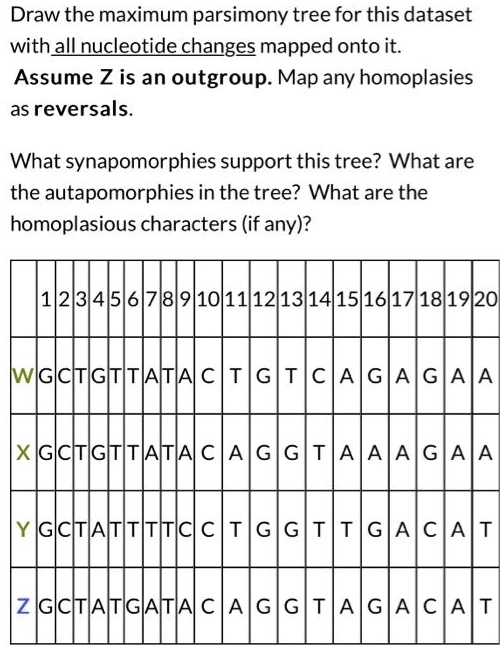 SOLVED: Texts: Draw the maximum parsimony tree for this dataset with all nucleotide changes ...