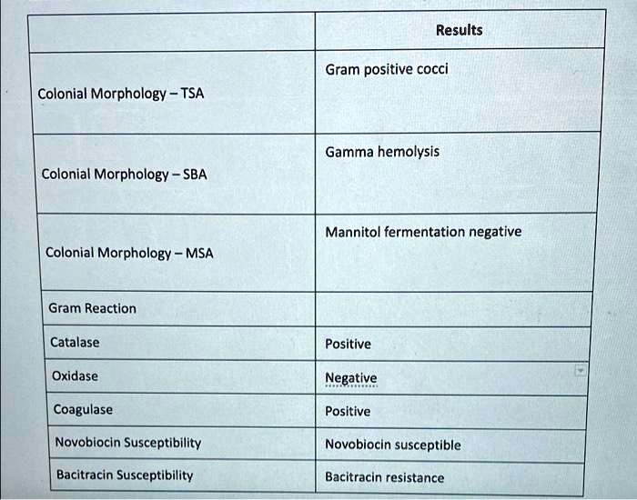 SOLVED: identify organism based on these results Results Gram positive ...