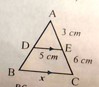 'In the given figure triangle ABC is similar to triangle ABD then find ...