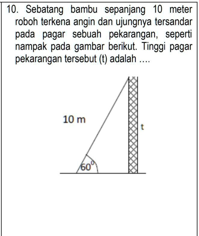 SOLVED: bantuin jawab plisss 10. Sebatang bambu sepanjang 10 meter ... SOLVED: bantuin jawab plisss 10. Sebatang bambu sepanjang 10 meter ...