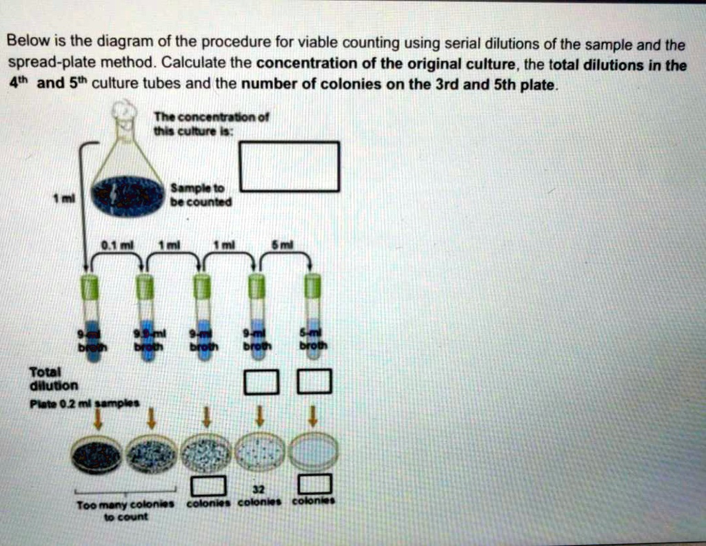 below is the diagram of the procedure for viable counting using serial ...