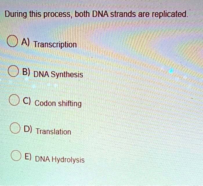SOLVED: During this process, both DNA strands are replicated A ...