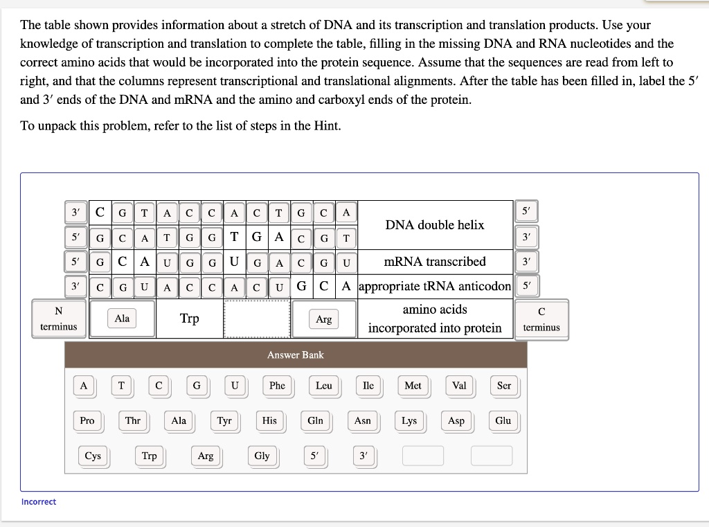 Nucleotide Amino Acid Translation Table at Julia Arnold blog