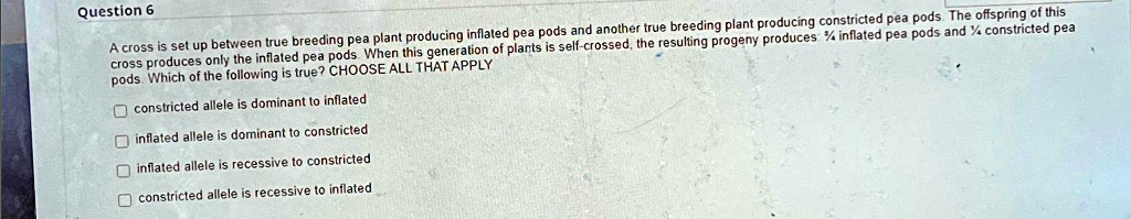 SOLVED: A cross is set up between true breeding pea plant producing ...