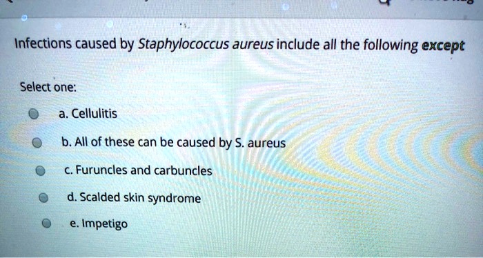 Infections caused by staphylococcus aureus include all the...