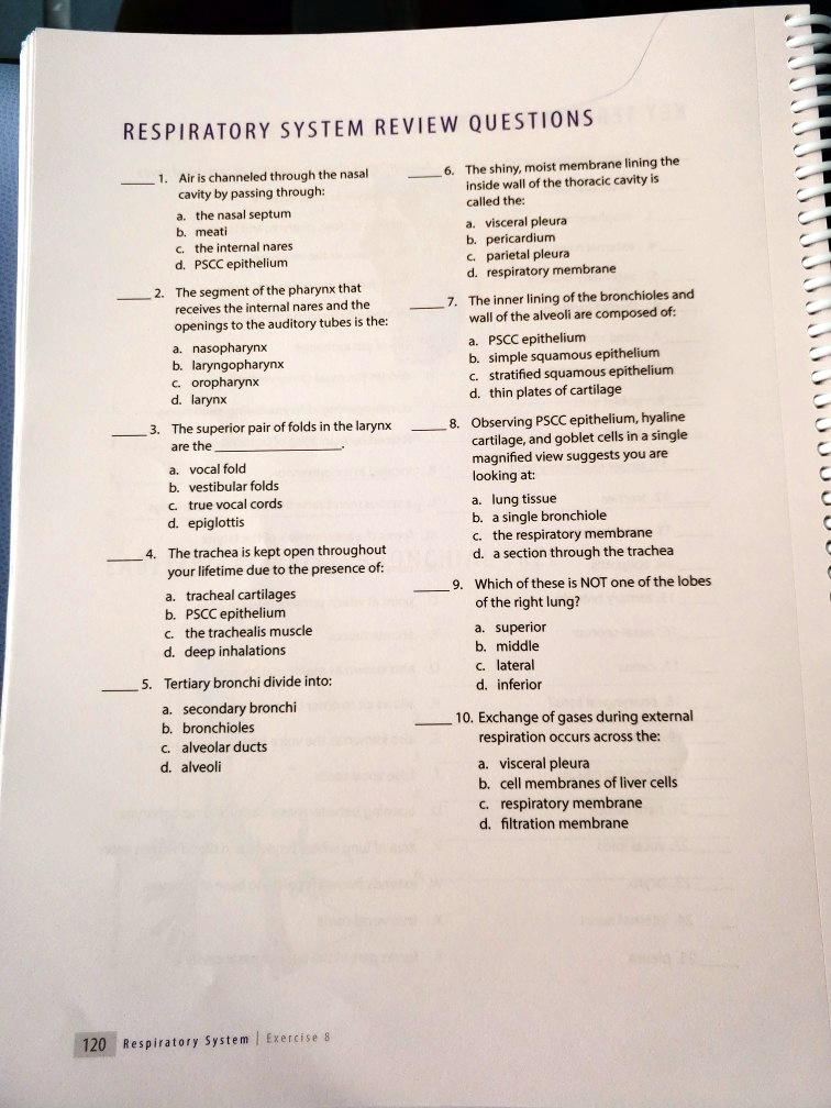 SOLVED: RESPIRATORY SYSTEM REVIEW QUESTIONS 6. The shiny, moist ...