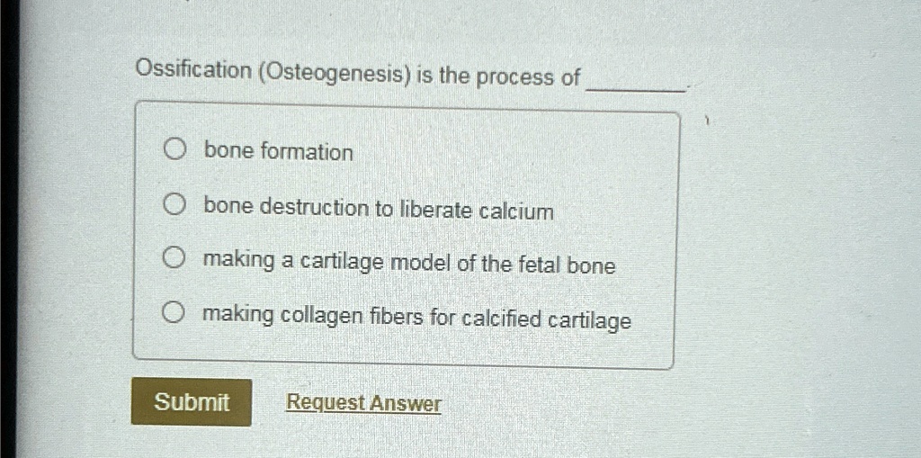 ossification osteogenesis is the process of bone formation bone ...