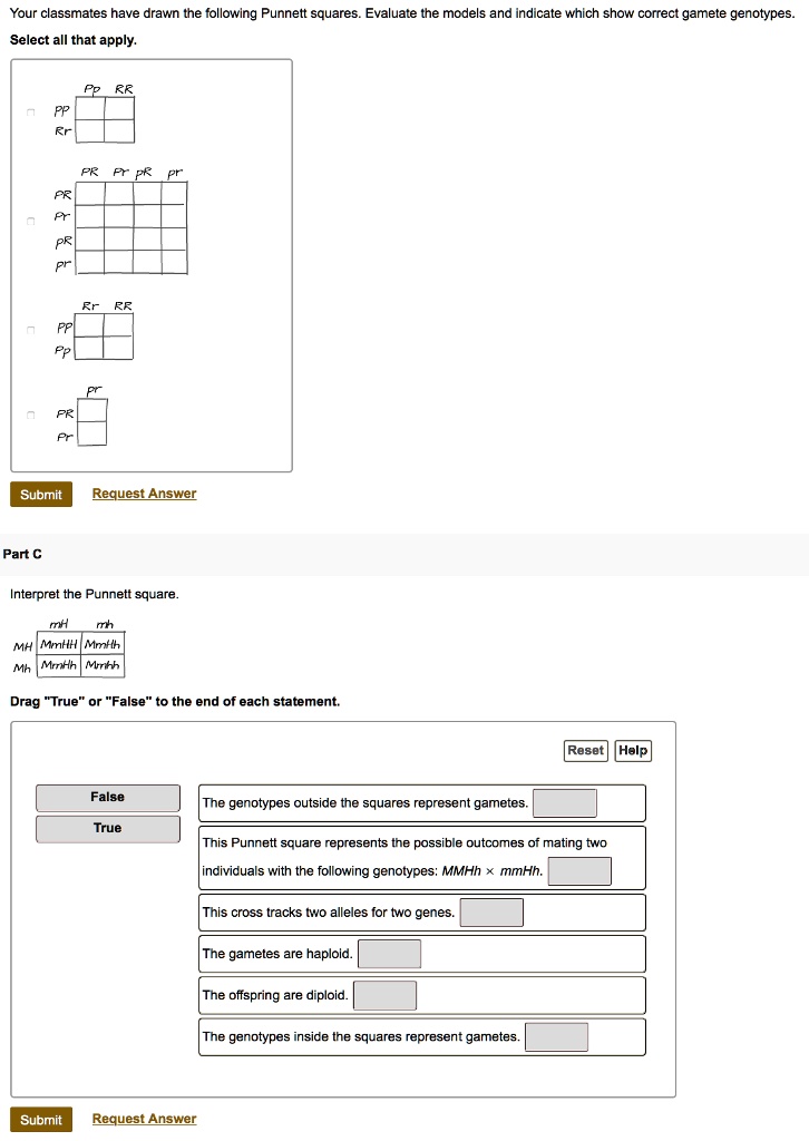 SOLVED:Your classmates have drawn the followlng Punnett squares ...