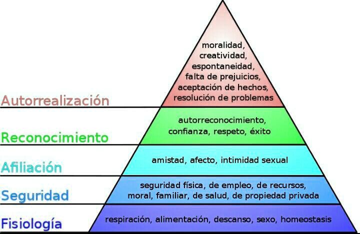 SOLVED: explica brevemente cada clasificación de la pirámide de Maslow ...