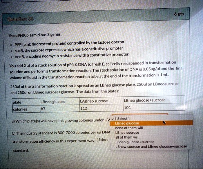 SOLVED:pts Questiom 36 The pPNK plasmid has genes: PFP (pink ...