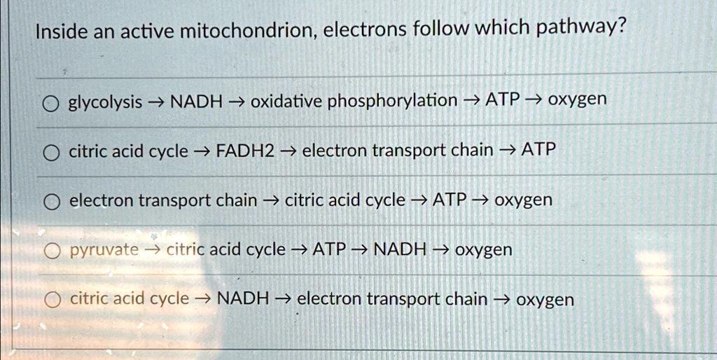 SOLVED: Inside an active mitochondrion, electrons follow which pathway ...