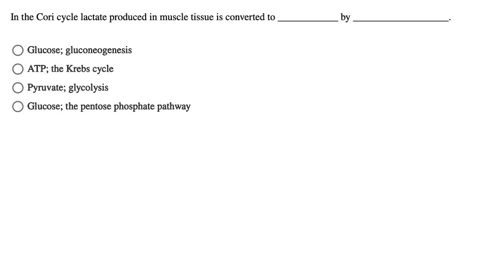In the Cori cycle lactate produced in muscle tissue is converted to by ...