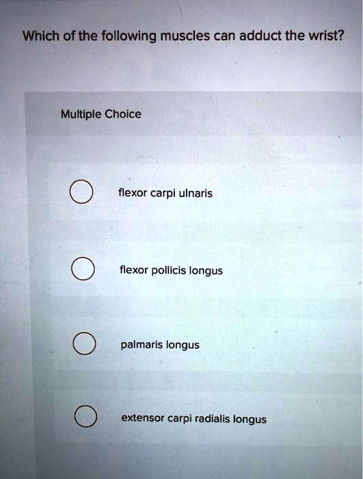 SOLVED: Which of the following muscles can adduct the wrist? Multiple ...