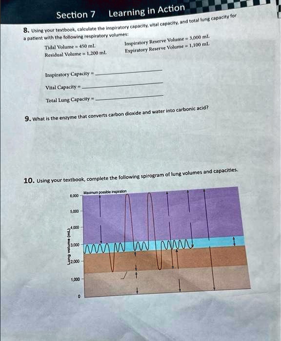 SOLVED: Section 7 Learning in Action 8. Using your textbook, calculate the inspiratory capacity ...
