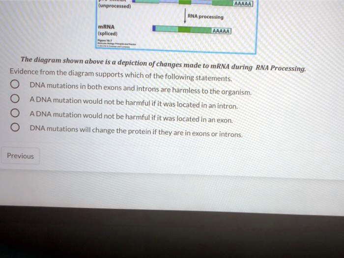 SOLVED:unpracetendl AAAAAI RNA processing MRNA (spllced) AAAAAJ The ...