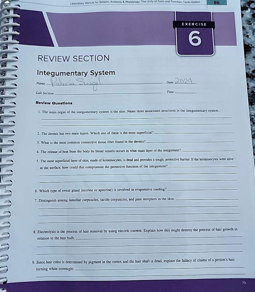 laboratory manuel for saladin anatomy physlology the unity of form and ...