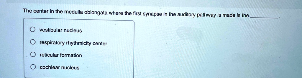 the center in the medulla oblongata where the first synapse in the ...