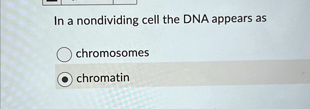 in a nondividing cell the dna appears as chromosomes chromatin in a ...