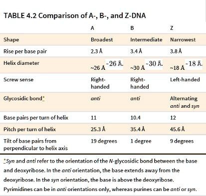 The nucleosome structure consists of 146 bp of DNA wrapped around the ...